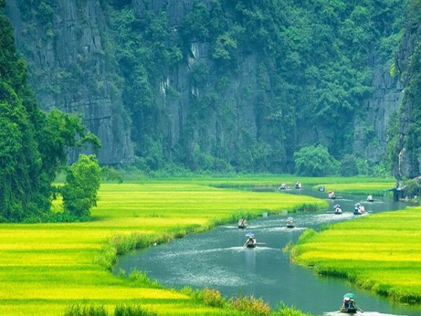 Phù sa là gì? Tìm hiểu về Đất phù sa tại Việt Nam